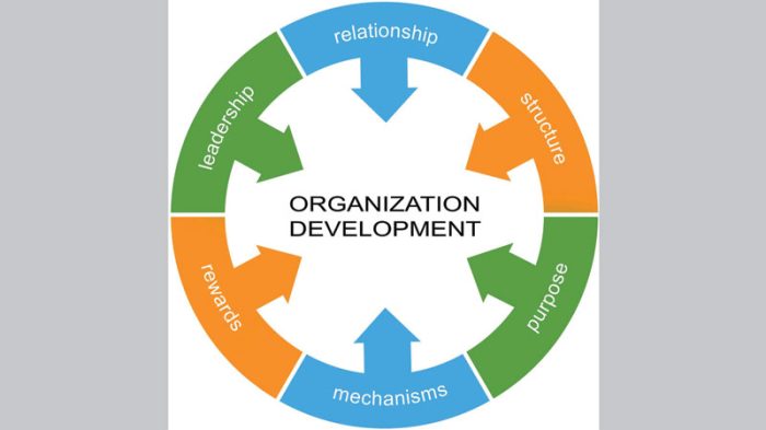 Discover the Importance of Advanced Organizational Development | Course ...