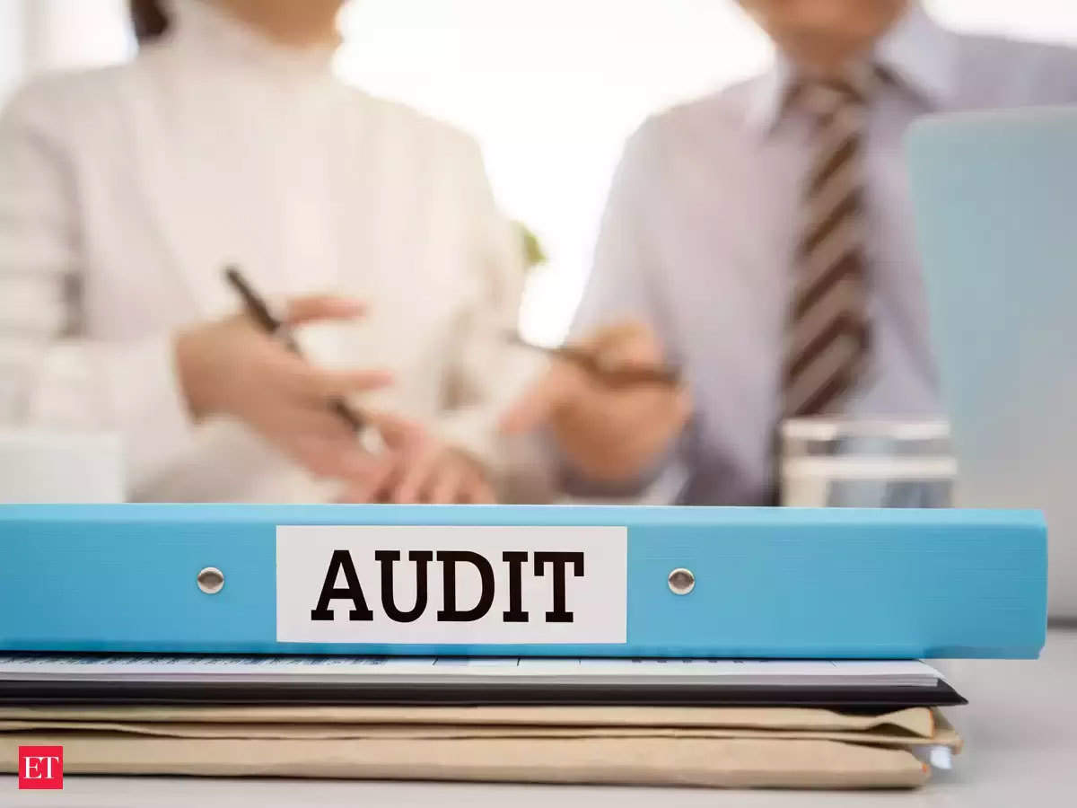 Professional Audit Techniques