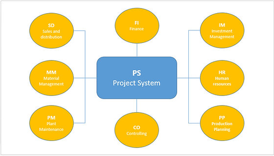 Discover The Importance Of Sap Ps Project System Orientmct Course